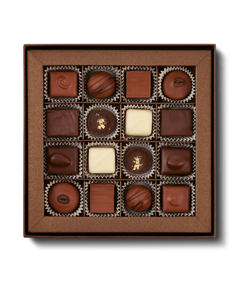 Chocolate Pralines 16 Gold - Amedei shop